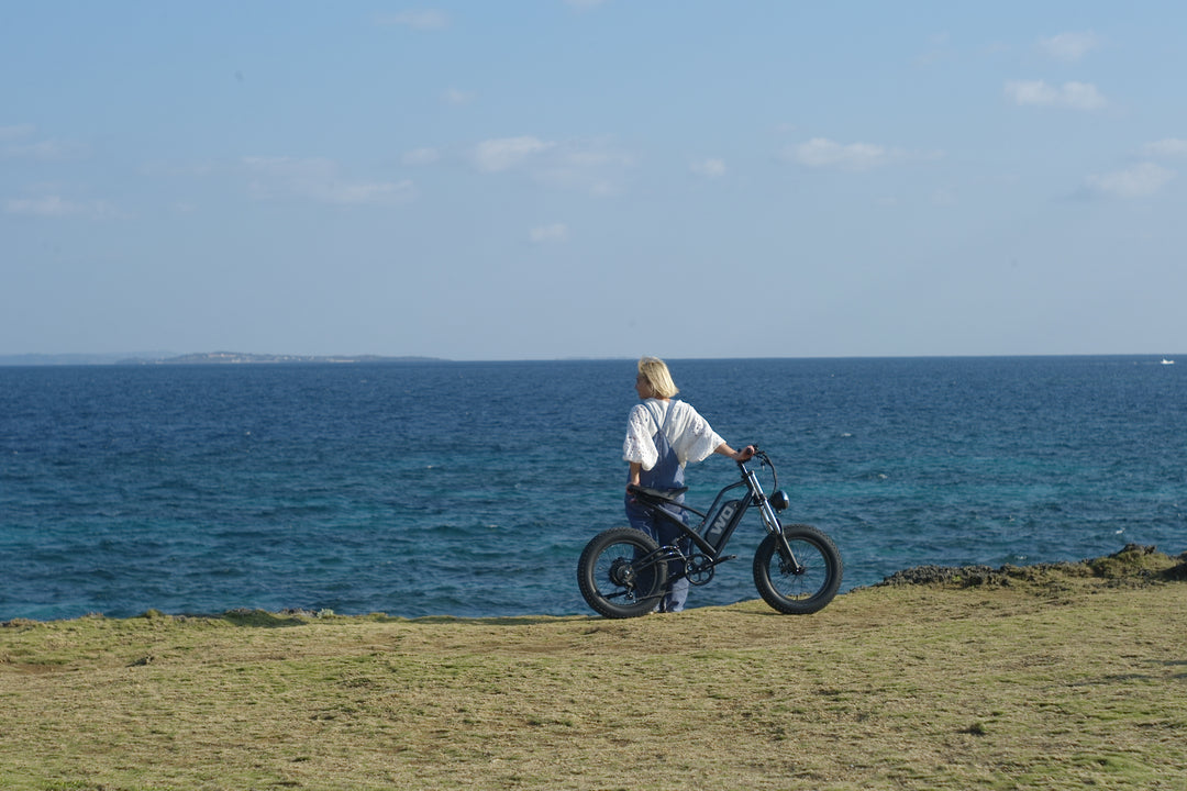 News – ページ 2 – wobikes